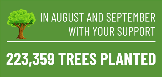 Grow-Trees Newsletter 2023 - Grow-Trees Blog