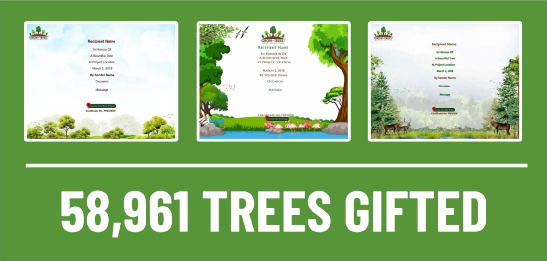 Grow-Trees Newsletter 2023 - Grow-Trees Blog